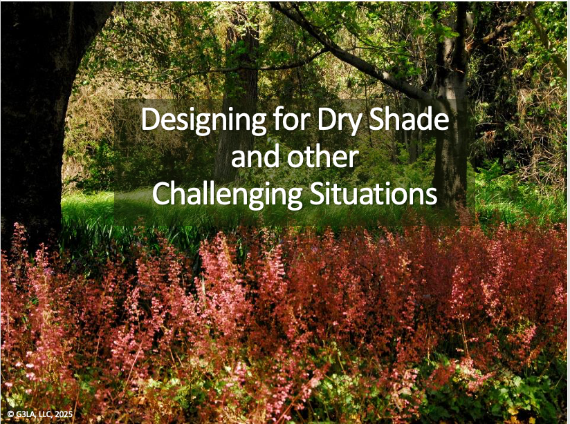 Designing for Dry Shade and Other Challenging Landscape Situations ...