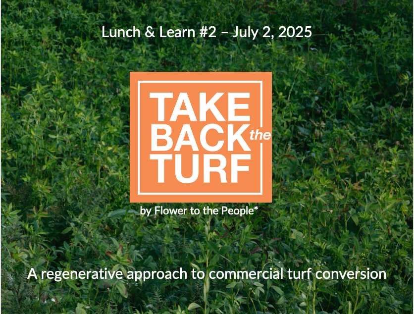 Take Back the Turf Update - Lunch and Learn - Watershed Wise Training