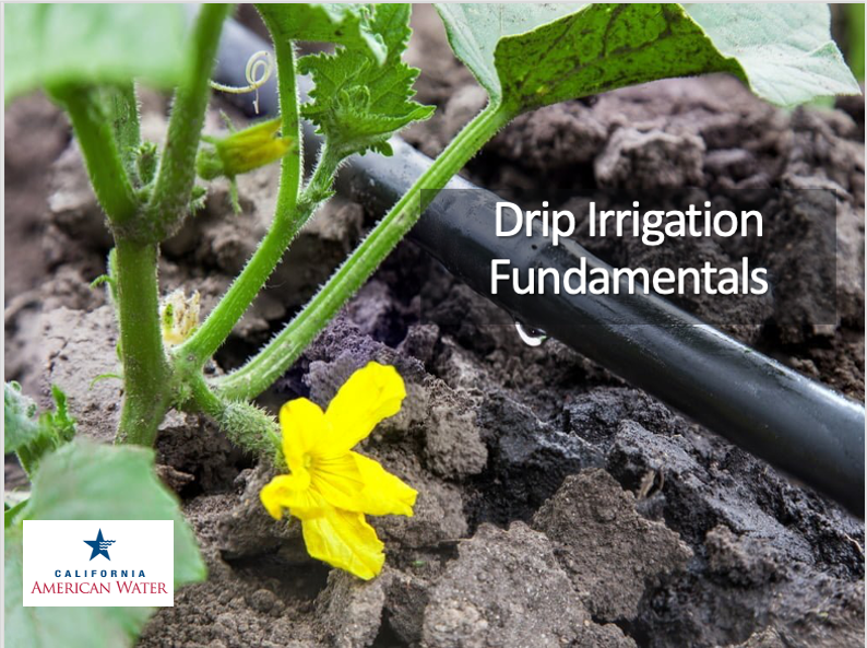 Drip Irrigation Fundamentals _ California American Water - Watershed ...