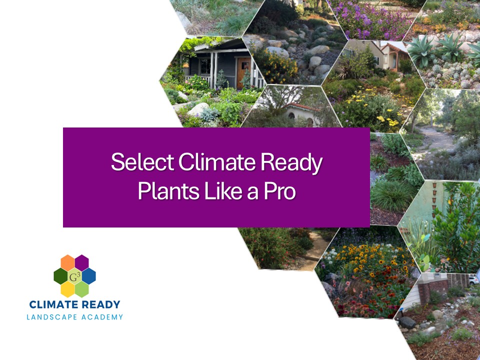 Video - CRLA: Select Climate Ready Plants Like a Pro - Watershed Wise ...